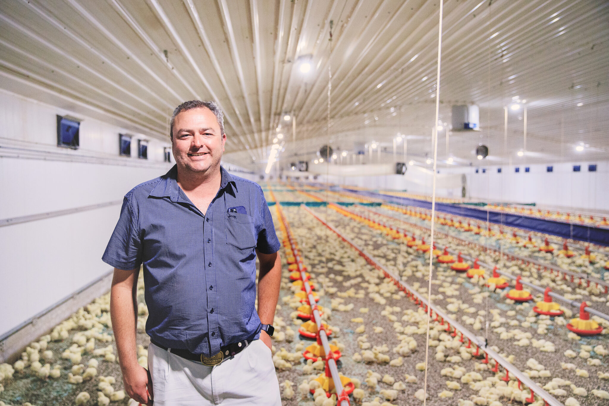 FARMS – Henwil Chickens