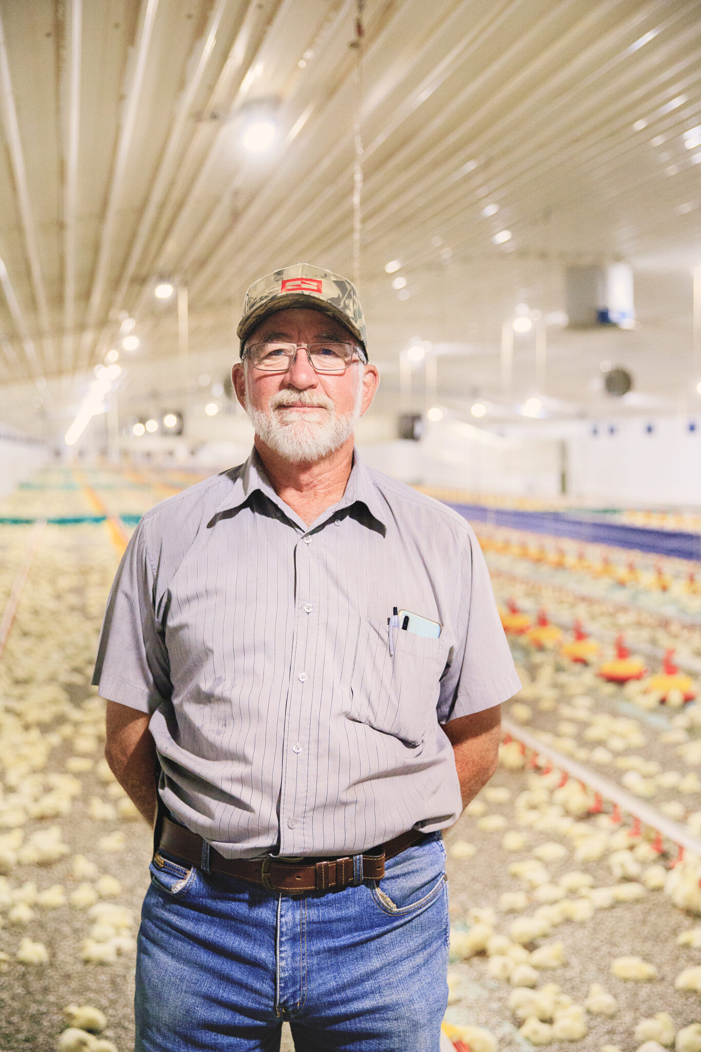 FARMS – Henwil Chickens